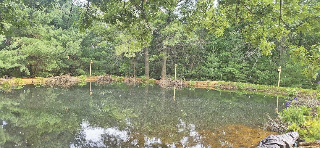 An Outdoorsman's Journal: Lake Matilda | Columns ...