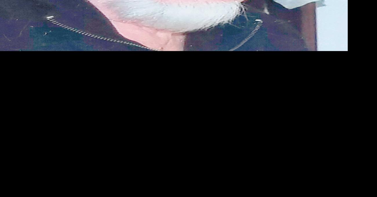 Louis Raymer | Obituaries | burnettcountysentinel.com