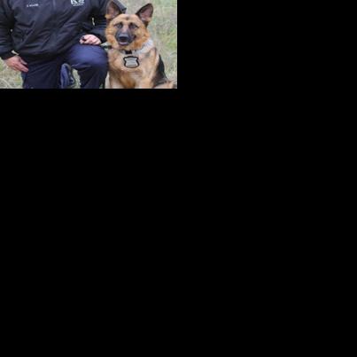 Interim-police chief named in Melvindale pending hearing for suspended ...