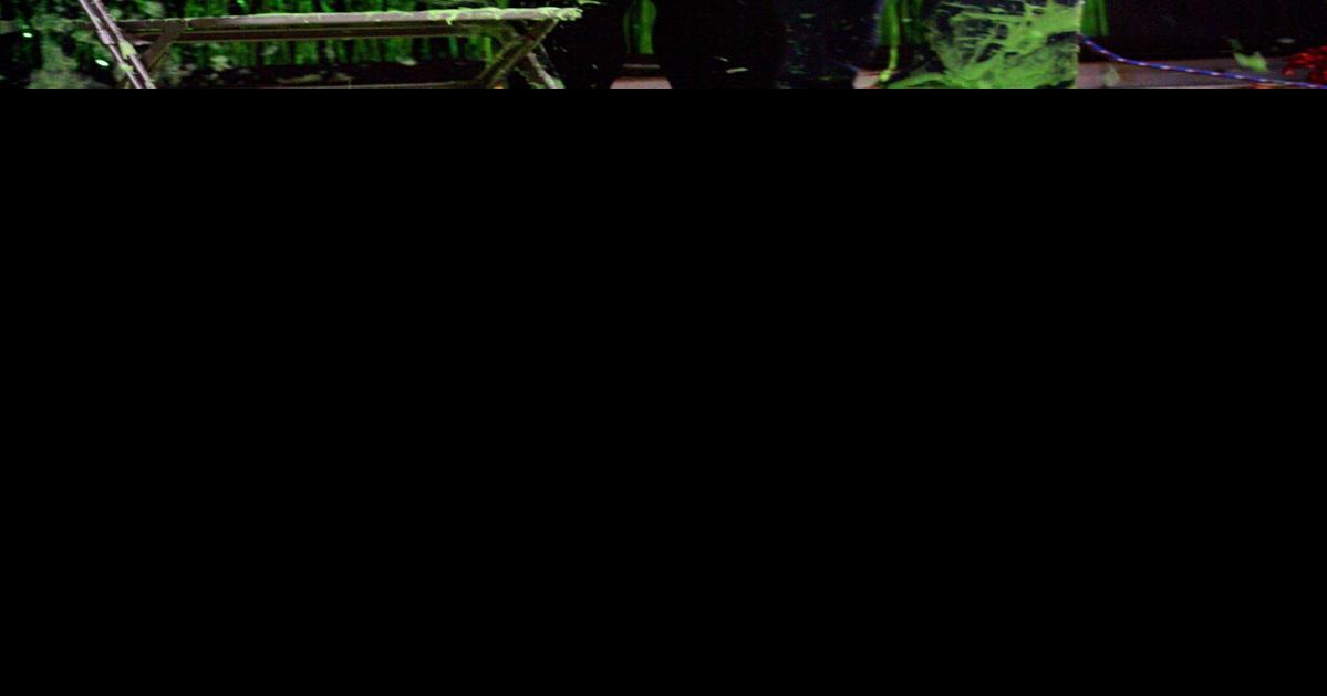 WYANDOTTE: Children read in order to watch principal, board member get ...