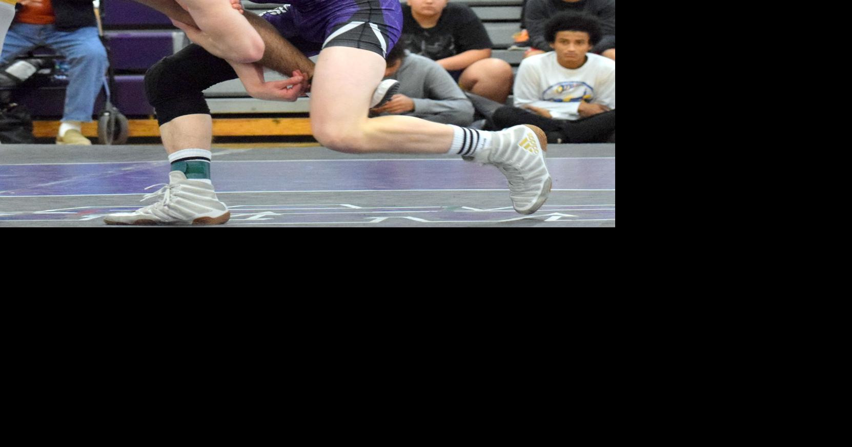 Woodhaven wrestling places 2nd at Wayne County Championships ...