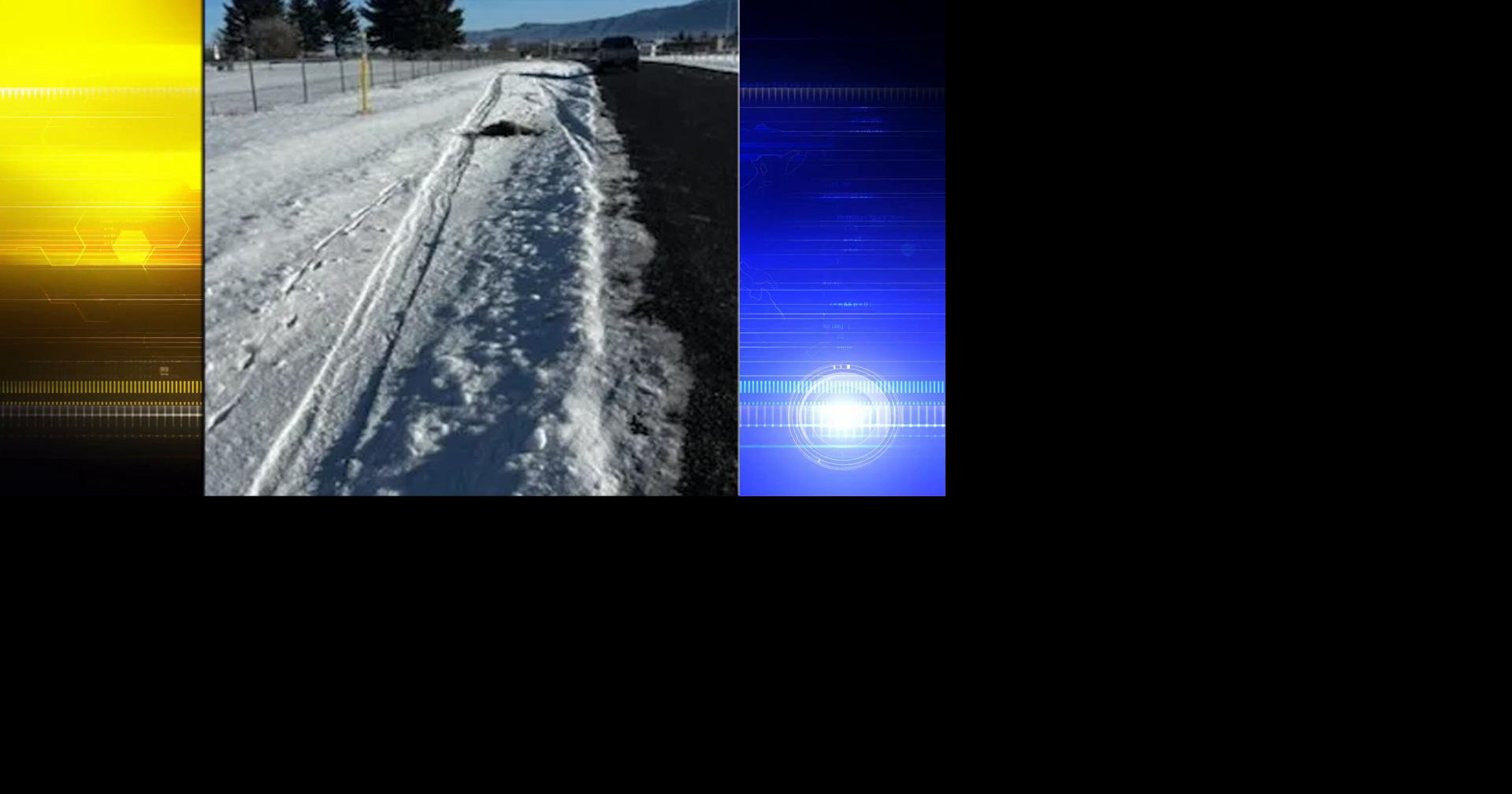 Authorities seek public's help after deer intentionally struck by ...