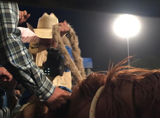 That Famous Preston Night Rodeo sells out their first night | Local ...