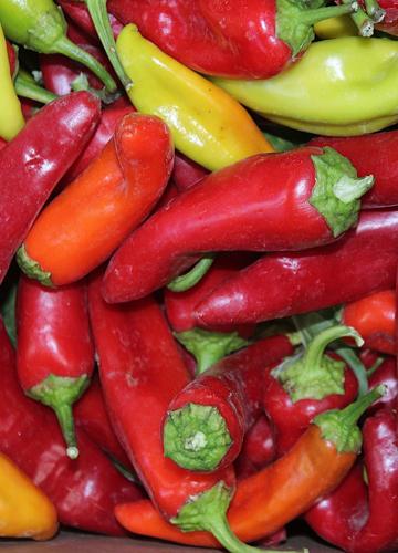 Cache Community Food Pantry to hold Open House to show their new ...