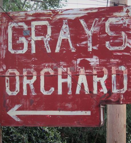 Gray’s Orchard 75 years of pushing peaches | Local News ...