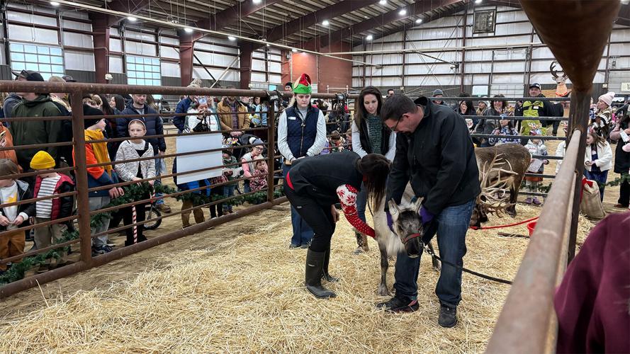 USU’s Reindeer Express gives Santa’s team a clean bill of health ahead of Christmas Eve | News ...
