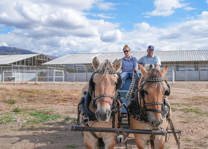 Saddle up for summer: USU offers tips for getting horses in shape ...