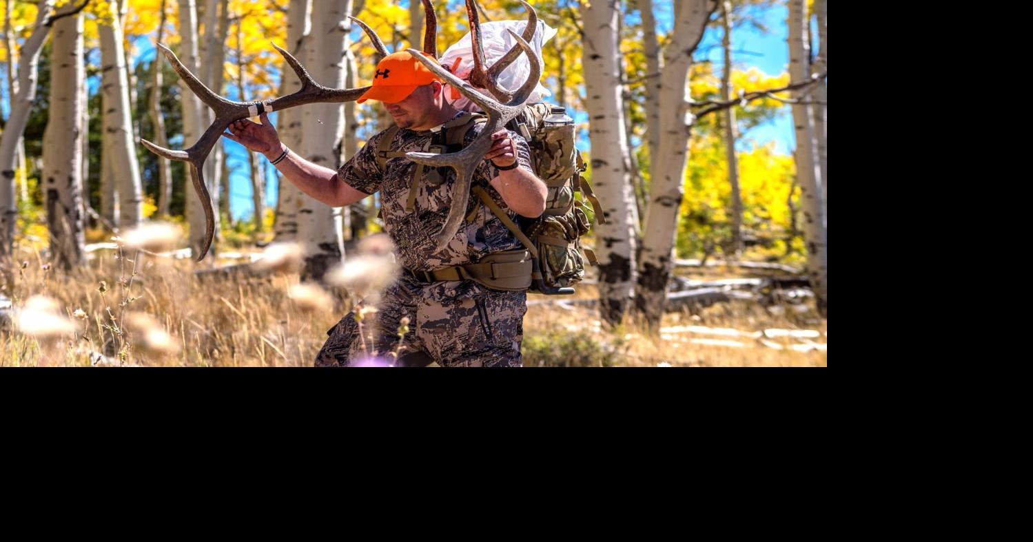 DWR offers tips for the 2024 deer and elk hunts | News ...