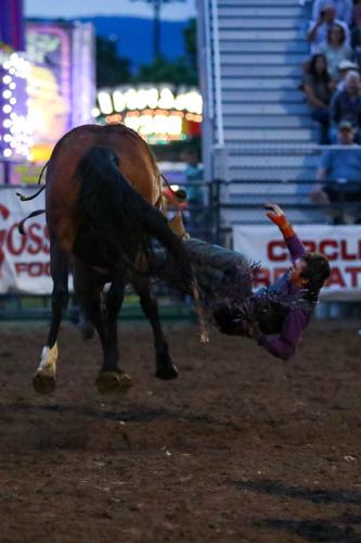 PHOTO GALLERY: That Famous Preston Night Rodeo – July 28, 2022 | Photo ...