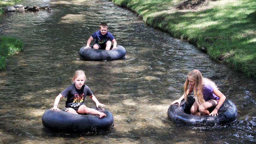 Cache County Fair is a good escape from looming pandemic | Local News ...