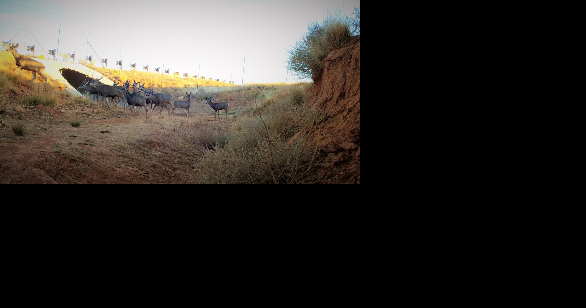 Five new DWR laws that go into effect 2020 | Local News ...