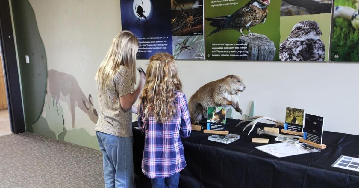 Learn about Utah’s nocturnal wildlife during an upcoming Hardware ...