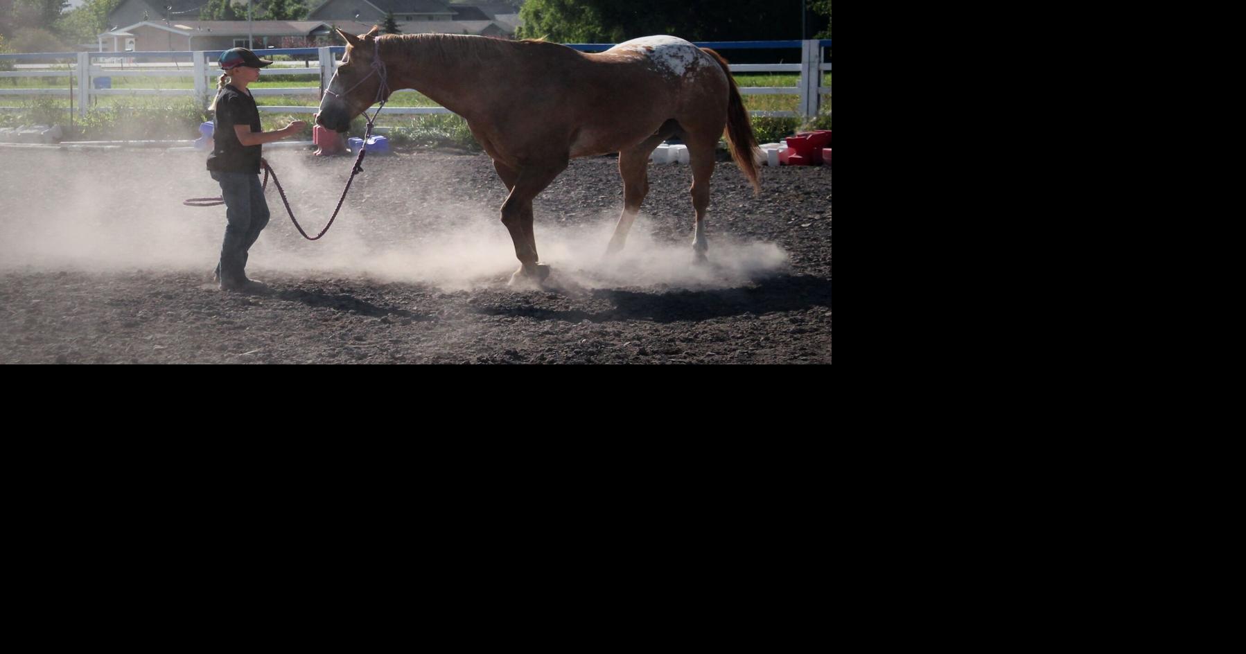 Horses are Gould’s prescription for what ails young women | Local News ...