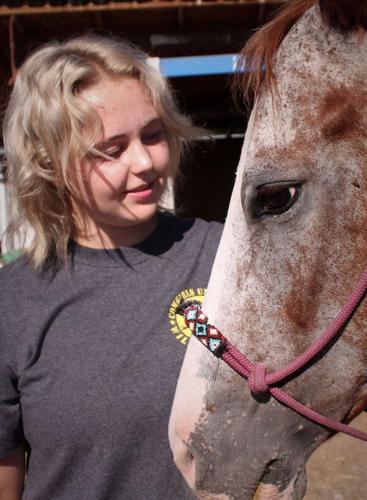 Horses are Gould’s prescription for what ails young women | Local News ...