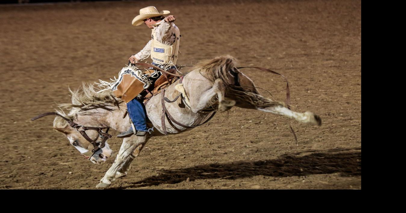 Cache County Fair and Rodeo brings entire community together | Local ...