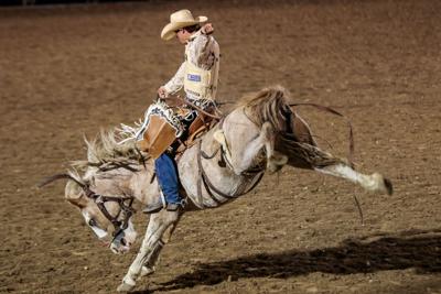 Cache County Fair and Rodeo brings entire community together | Local ...
