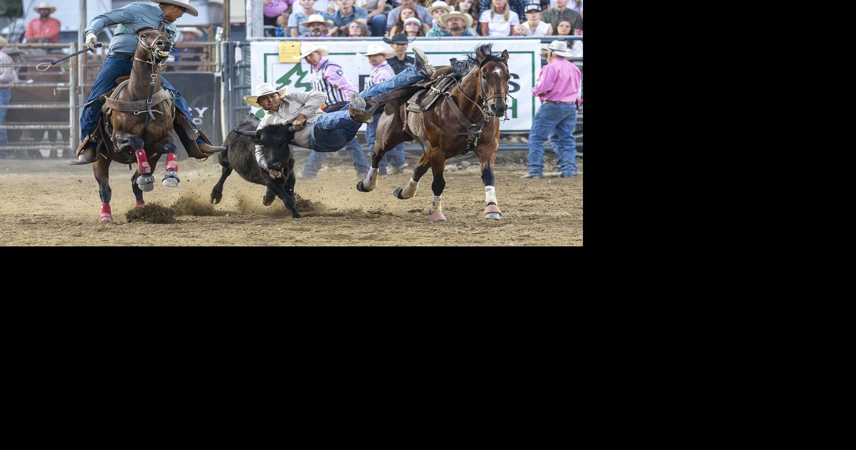 GALLERY: Cache County Fair and Rodeo - Aug. 8, 2025 | Multimedia ...