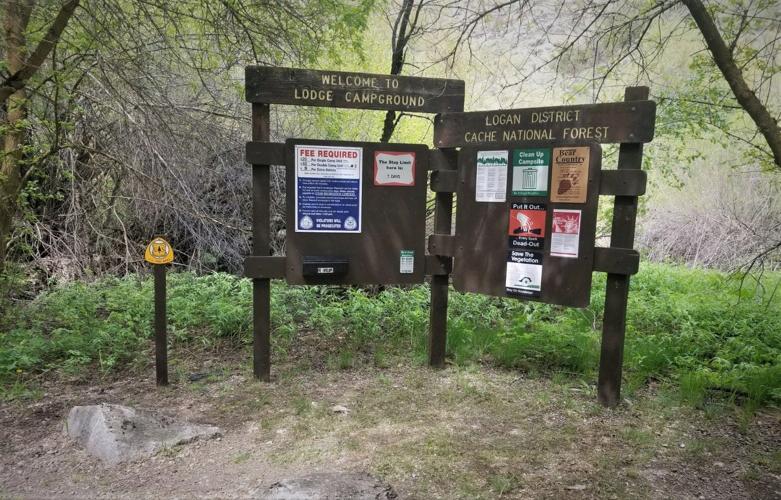 Forest Service opens campgrounds this weekend | Local News ...