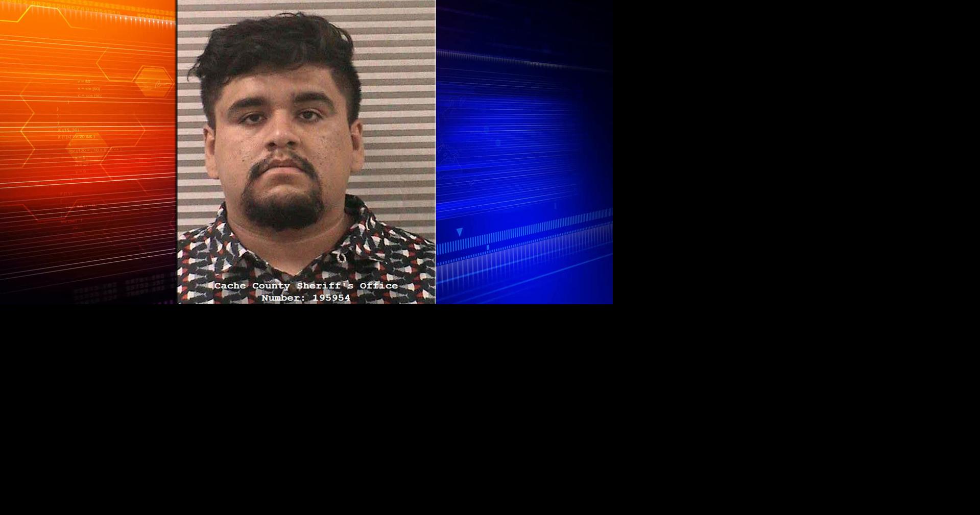 California man pleads guilty to trying to meet up for sex with Logan ...