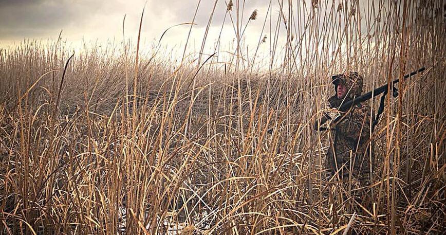 DWR offers tips on the 2024 Utah waterfowl hunting season | News ...