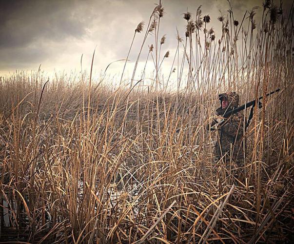 DWR offers tips on the 2024 Utah waterfowl hunting season | News ...