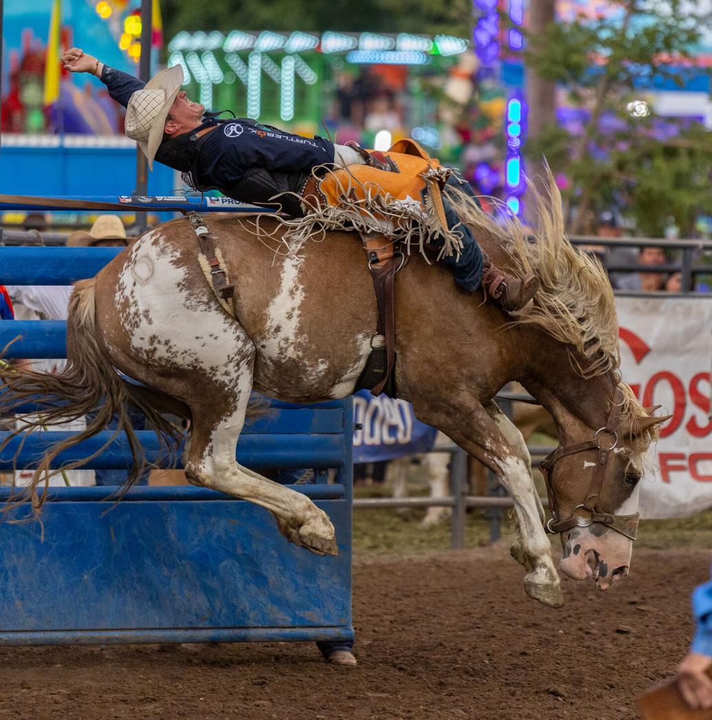 Preston Night Rodeo marks 90 years with parades, packed stands and ...