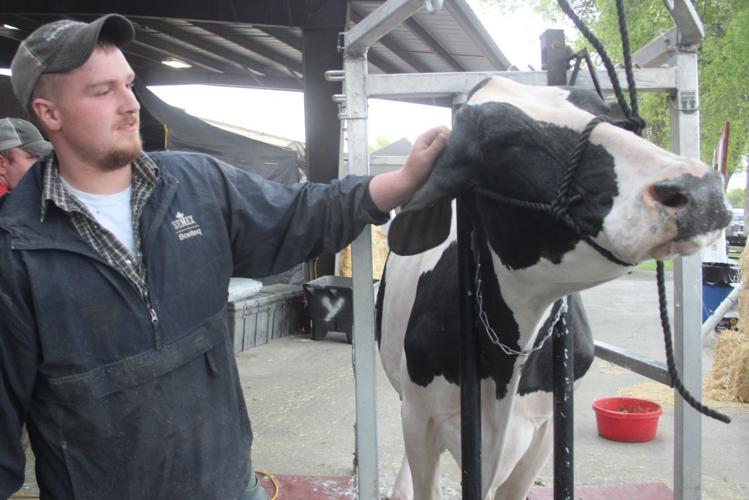 Richmond's Black and White Days is in full swing | News ...