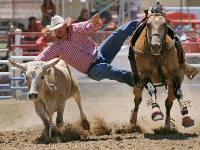 Rodeo photographer Jim Fain rides off into the sunset | Local News ...