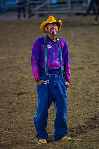 GALLERY: Cache County Fair and Rodeo | Photo Galleries ...