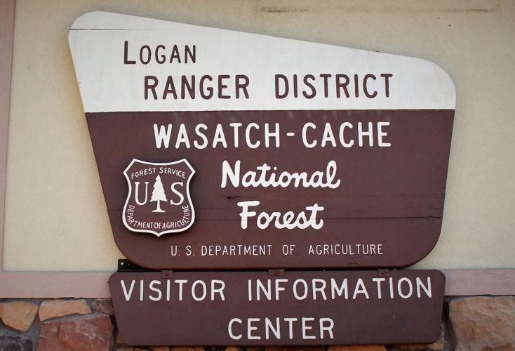 Logan Ranger District gets new chief | Local News | cachevalleydaily.com