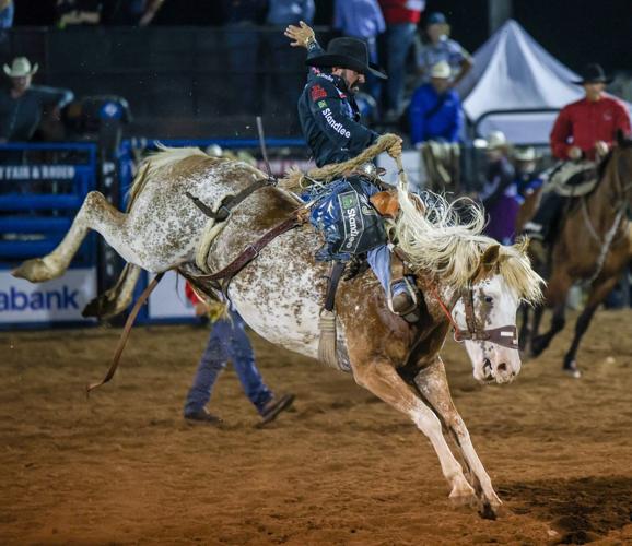 PHOTO GALLERY: Cache County Fair and Rodeo Aug. 12, 2023 | Photo ...