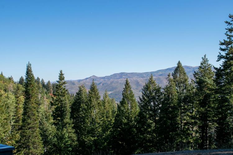 18,648 acres of forested lands in Rich and Box Elder counties preserved ...