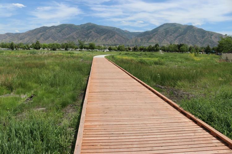 Firefly Park brings nature preservation and education together | Local ...