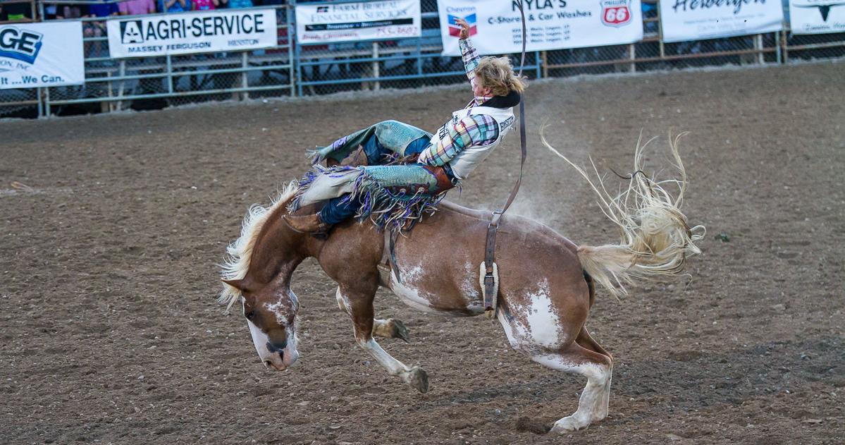 GALLERY: Cache County Fair and Rodeo | Photo Galleries ...