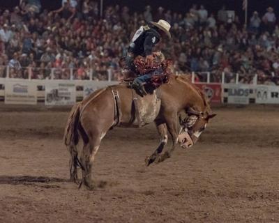 That Famous Preston Night Rodeo set to begin Thursday | Local News ...