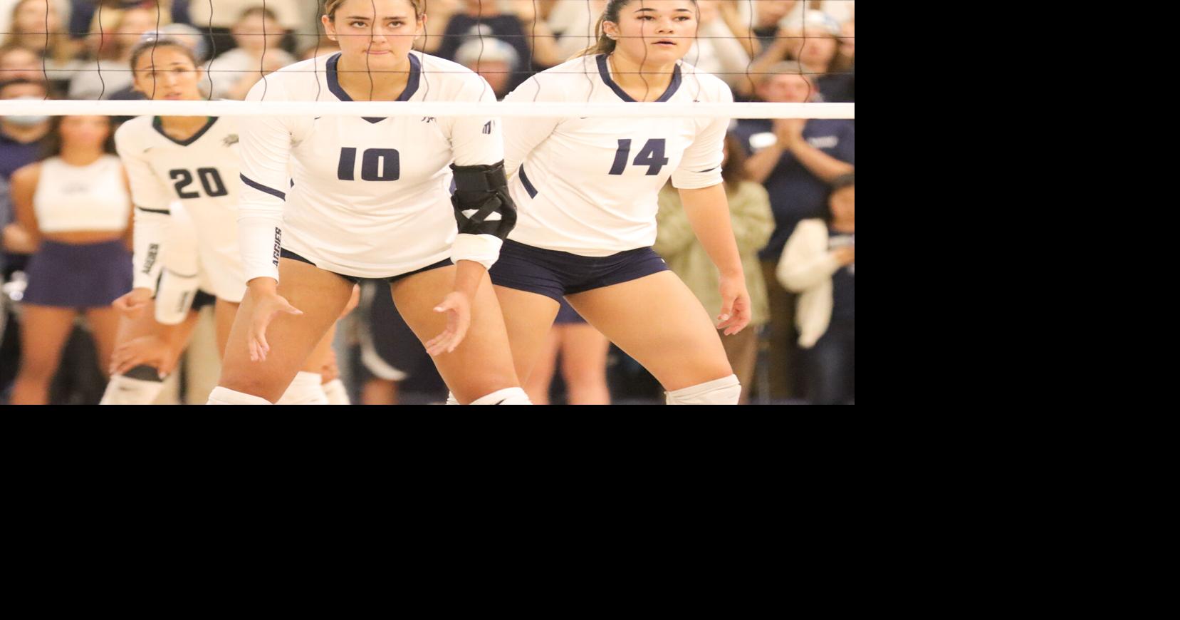 USU Volleyball picked as favorite to win Mountain West, two players ...