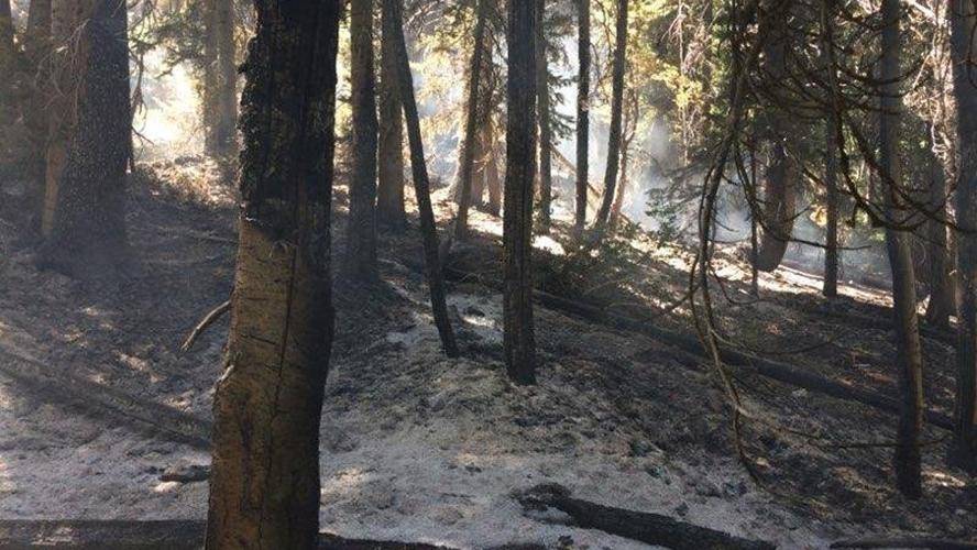 Firefighters hope to have Birch Canyon fire extinguished in the coming ...