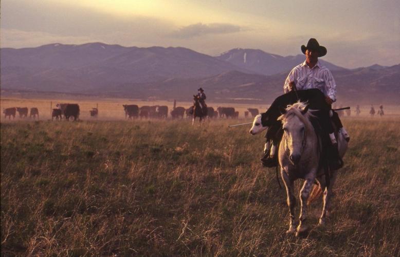 Rodeo photographer Jim Fain rides off into the sunset | Local News ...