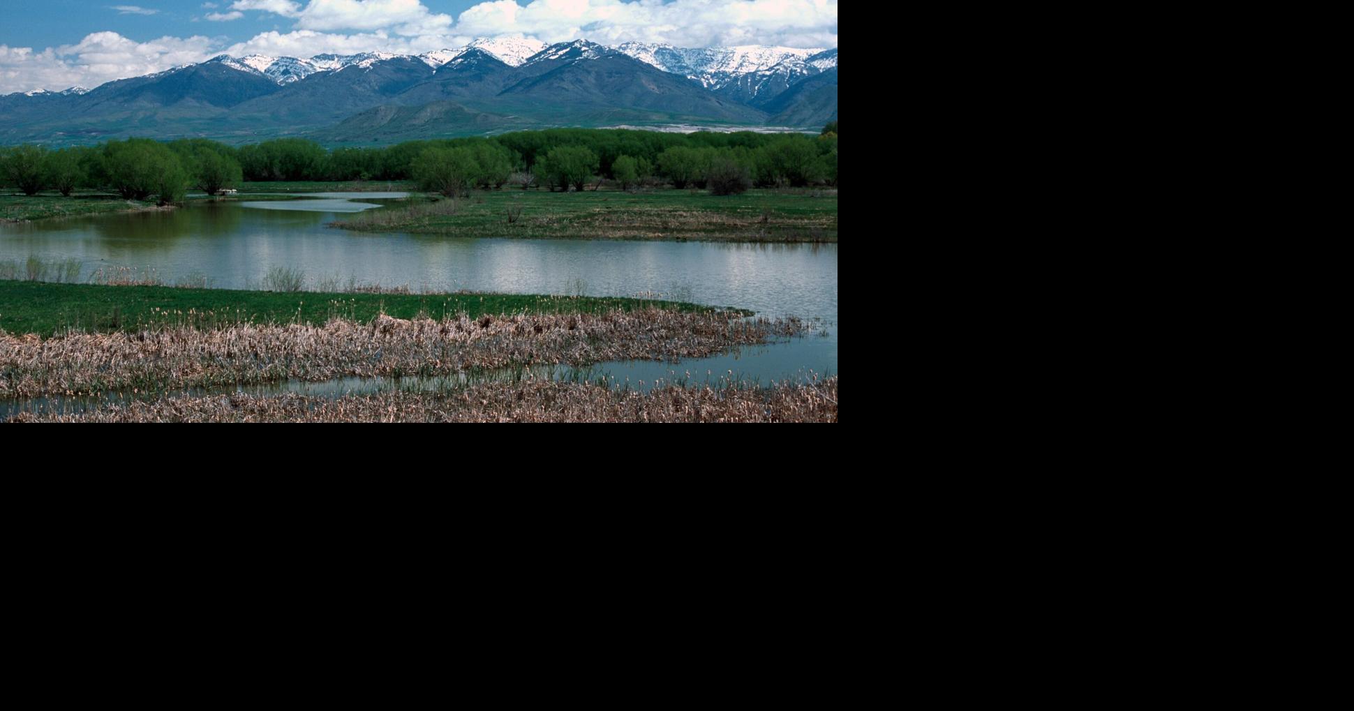 Eight years of looking out for local water interests | News ...