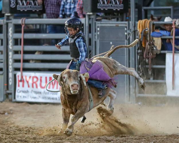 GALLERY: Hyrum Star Spangled Rodeo - June 27, 2025 | Multimedia ...