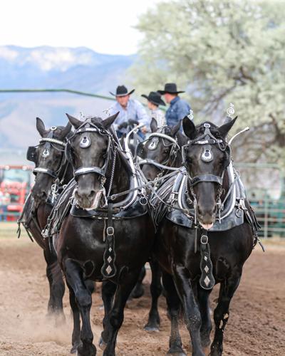 GALLERY: Lewiston Independence Day Rodeo 2025 | Multimedia ...