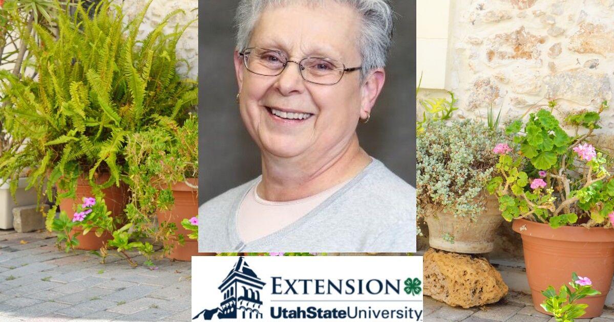 Kathy Riggs receives USU Extension’s top award | Local News ...