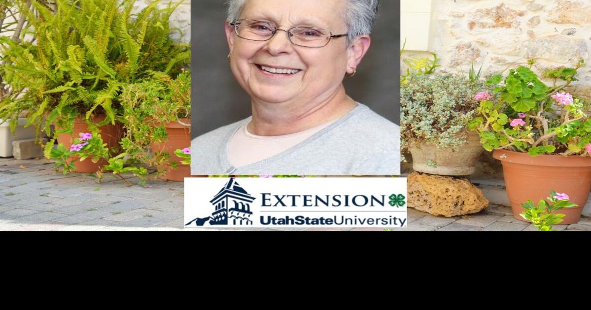 Kathy Riggs receives USU Extension’s top award | Local News ...