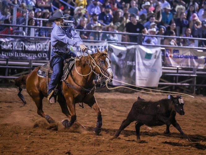 PHOTO GALLERY: Cache County Fair and Rodeo Aug. 12, 2023 | Photo ...