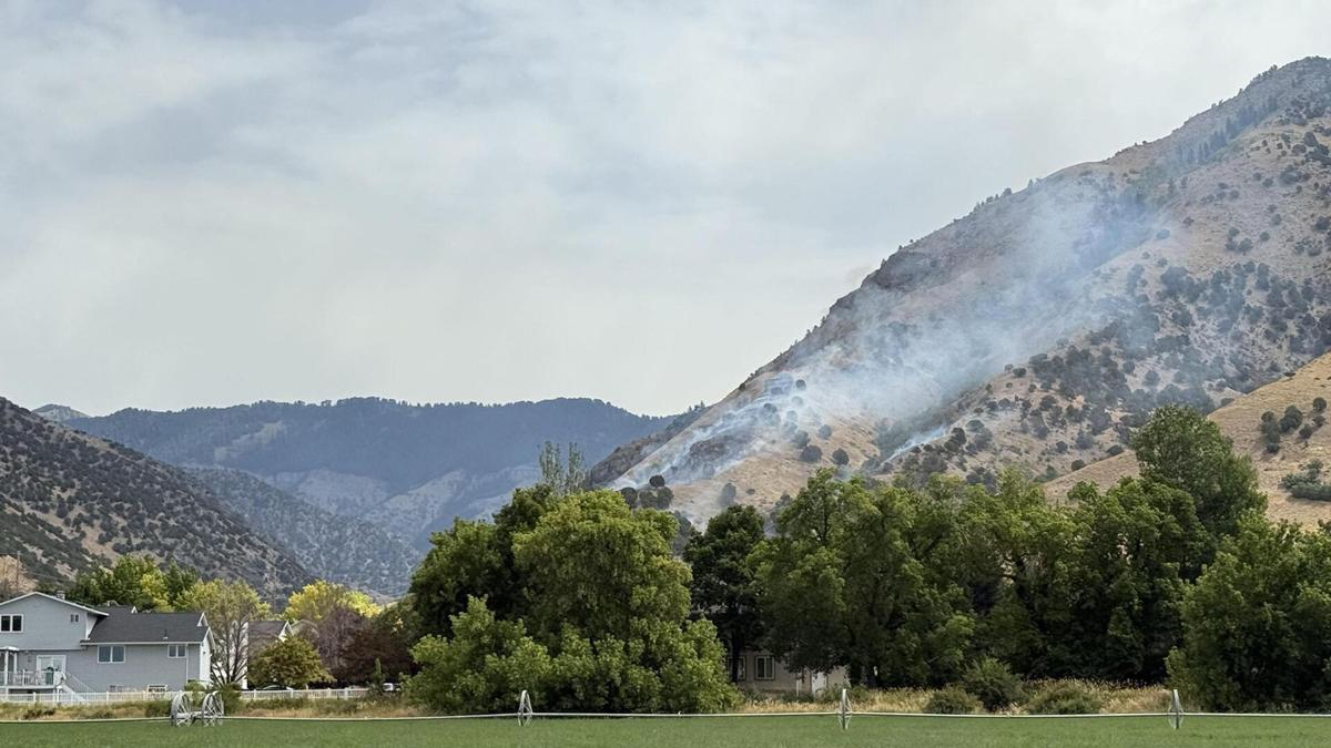 Wildfire starts east of North Logan, closing Green Canyon | News ...