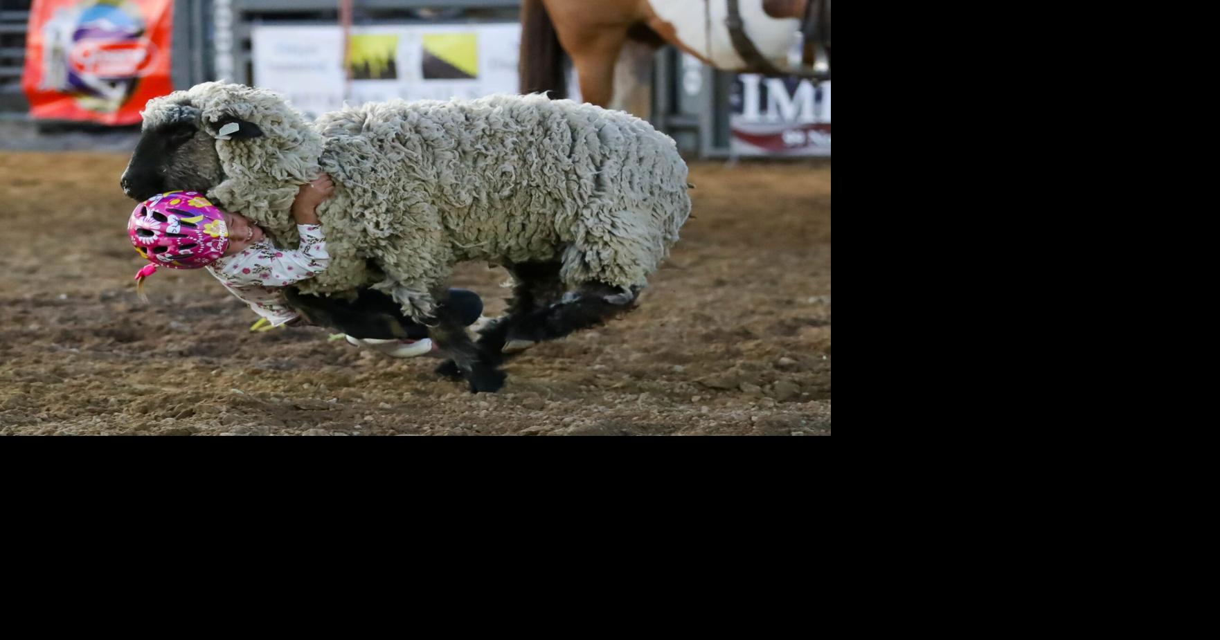 PHOTO GALLERY: Hyrum Star Spangled Rodeo 2023 – night one | Photo ...