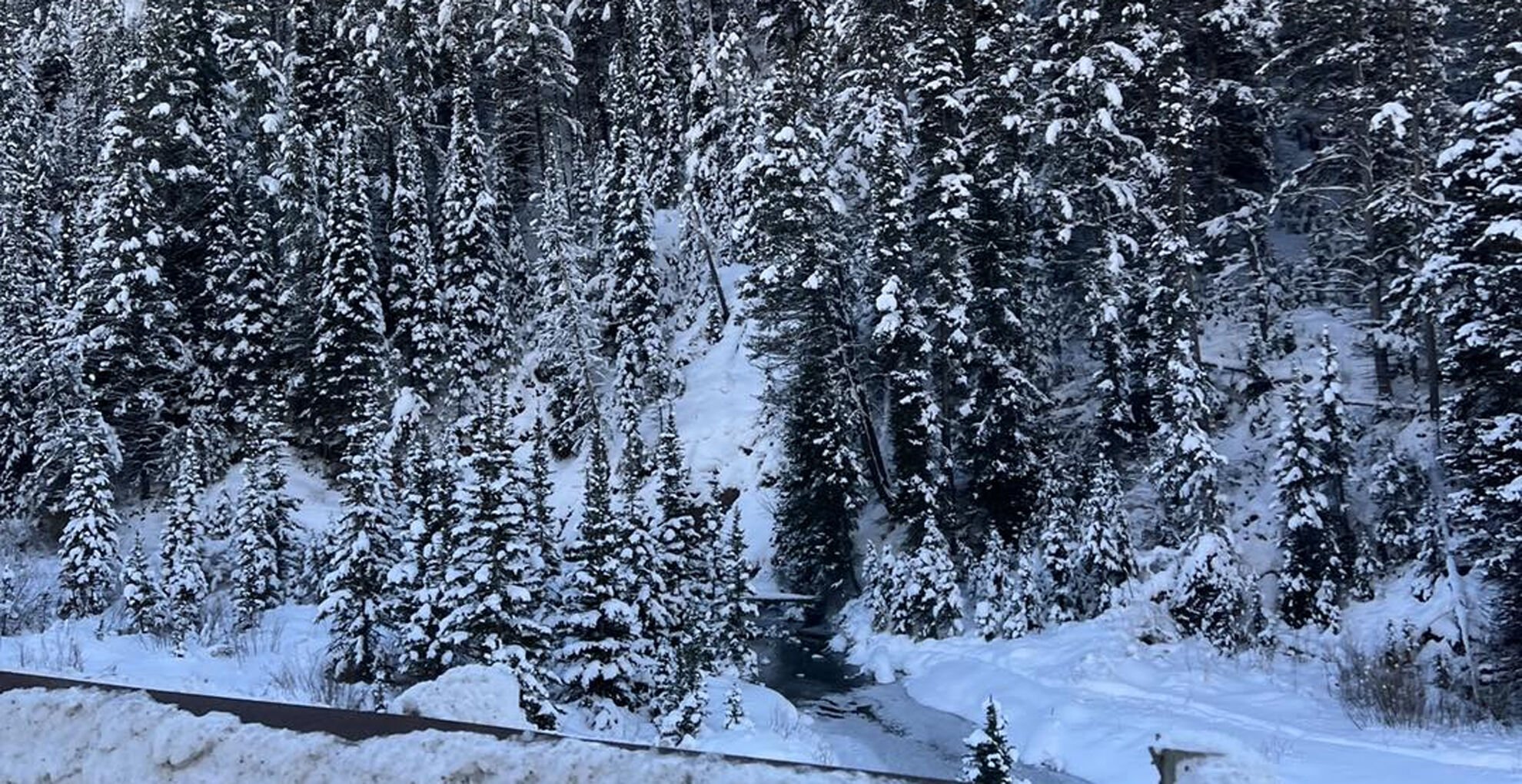 Utah man killed in avalanche near Star Valley | News | cachevalleydaily.com