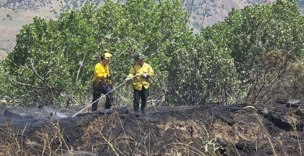 Beekeeper smoke sparks fast-moving grass fire near Tremonton | News ...