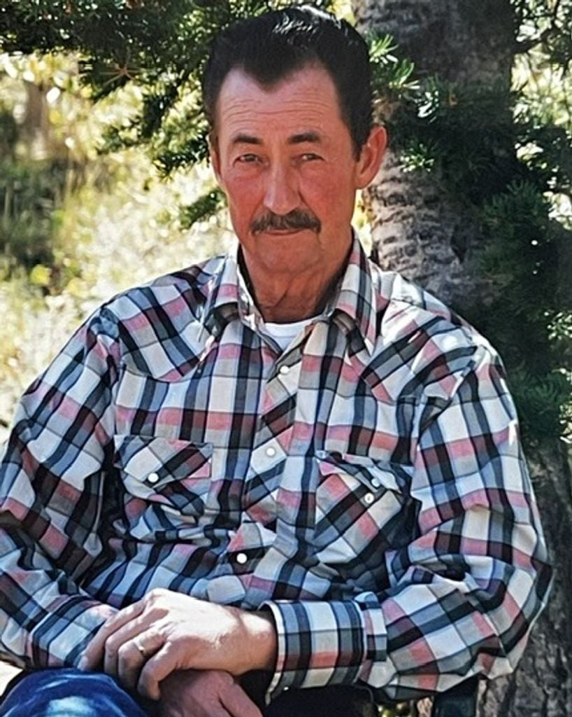 Reed Lloyd Pearson | Obituaries | cachevalleydaily.com