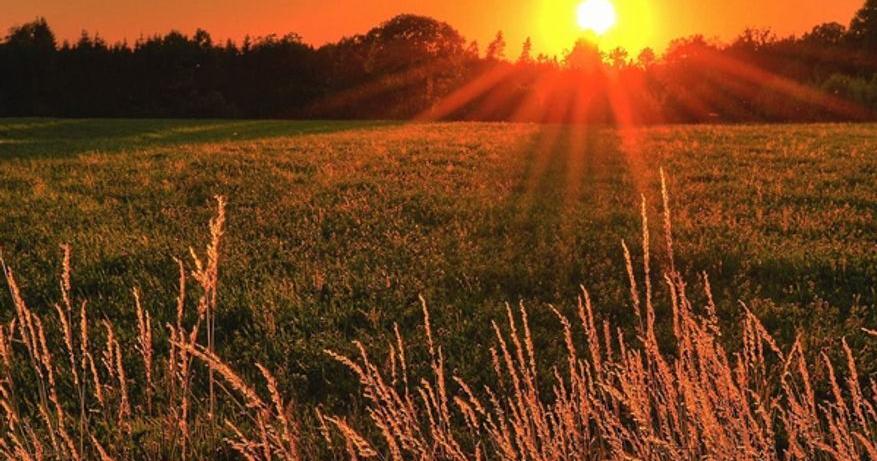 Terry H. Allred | Obituaries | cachevalleydaily.com